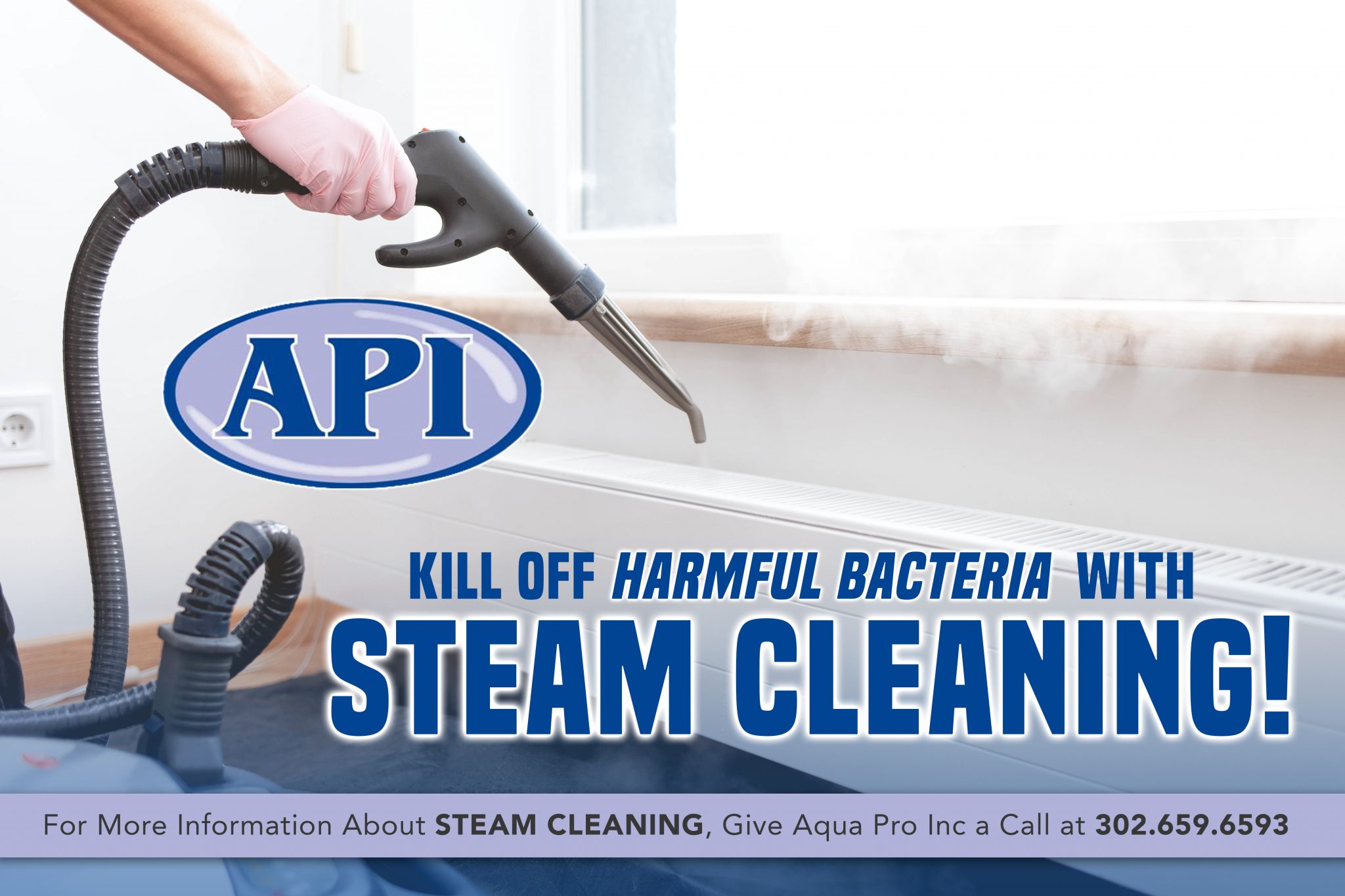 Terminate HARMFUL BACTERIA with Powerful Steam Cleaning Services ...