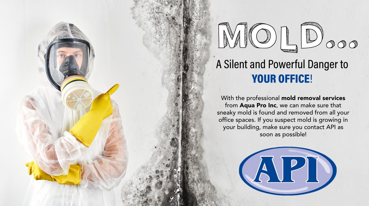 Mold...a Silent and Powerful Danger to Your Office! – Aqua Pro Inc.